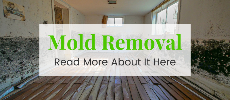 Home | Steam Green Carpet Cleaning And Restoration